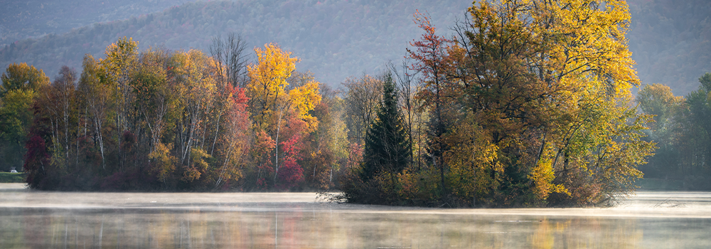 Harmonizing Dosha During Sharad Ritu: A Guide to Inner Balance – SoulTree