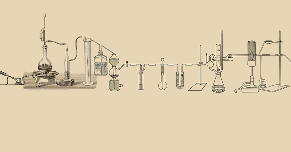 5 Harmful Ingredients in Shampoos You Should Avoid – SoulTree