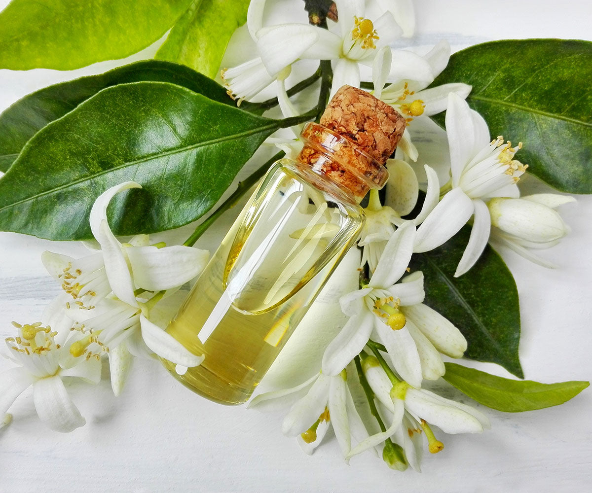A Timeless Fragrance - Neroli – SoulTree